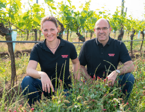 Weingut MERUM | Wein Guide