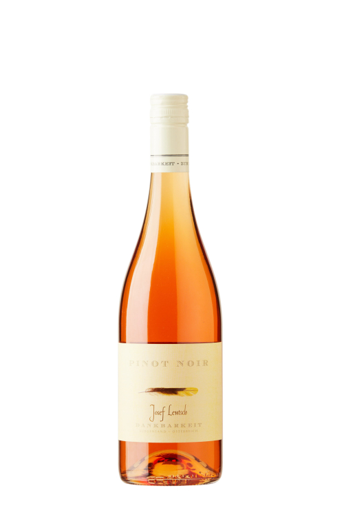 Pinot Noir Rosé | Wein Guide