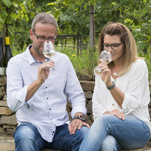 Weingut Ing. Roland Vogl | Wein Guide